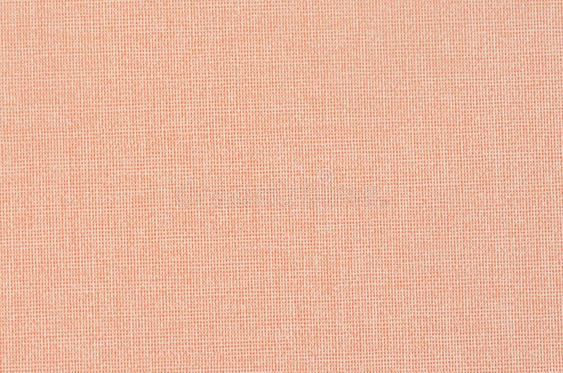 Pink Paper Texture. Macro Background of Book Cover Stock Photo - Image ...