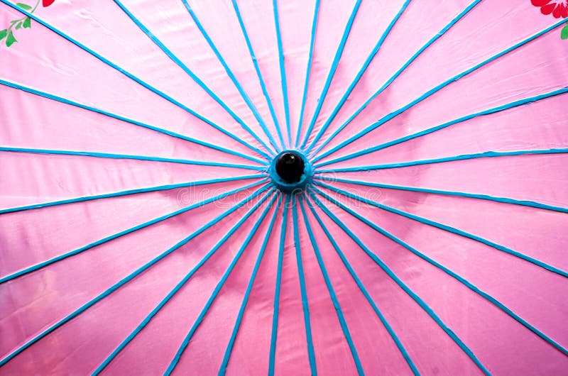 Pink Parasol Picture. Image: 523386