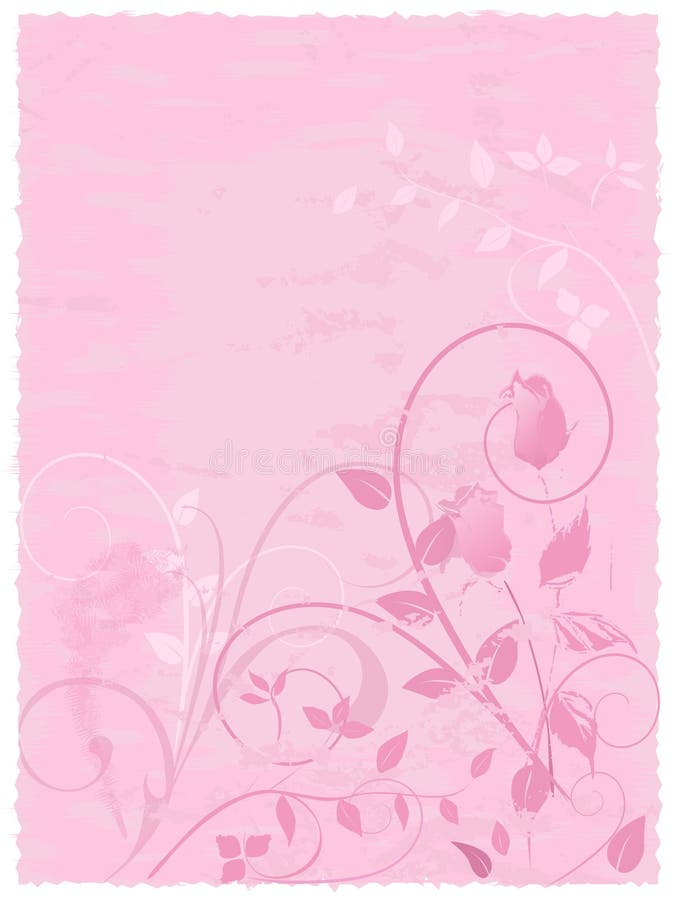Pink Parchment Rose Design stock vector. Illustration of background ...
