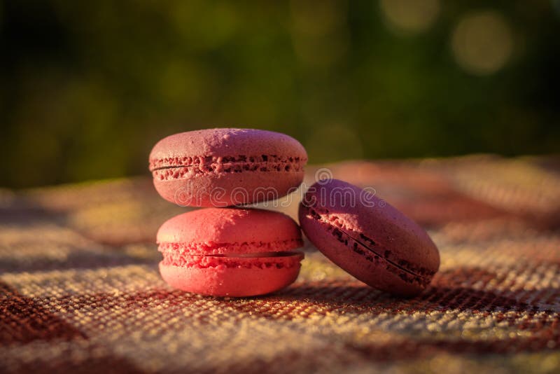 Pink Pasta Macarons at Sunset. Pink Macaroni Stock Photo - Image of ...