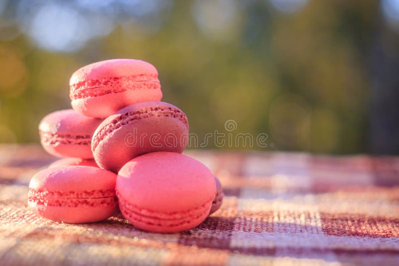 Pink Pasta Macarons at Sunset. Pink Macaroni. Delicious Cakes Stock ...