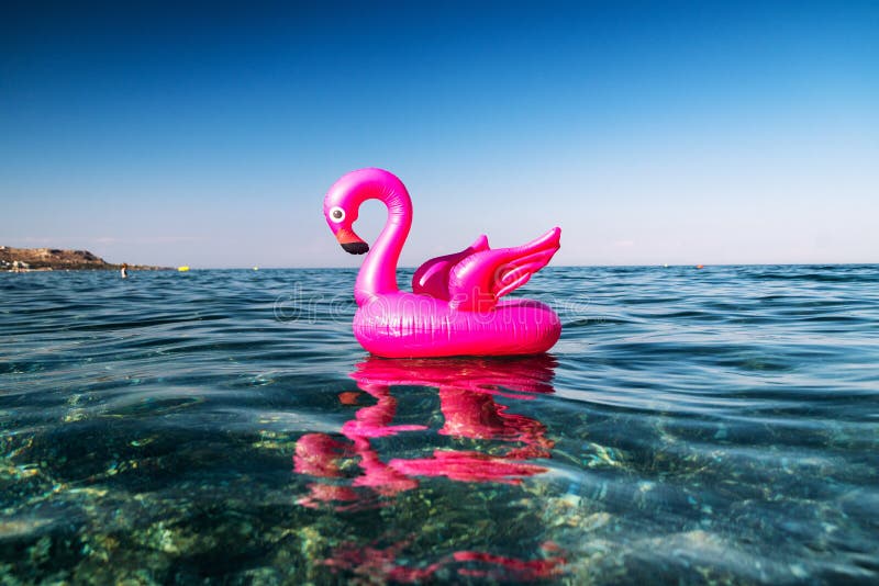 Pink Pelican Inflatable on the Sea Stock Image - Image of beautiful ...