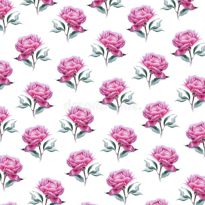Pink peony flower pattern stock illustration. Illustration of design ...