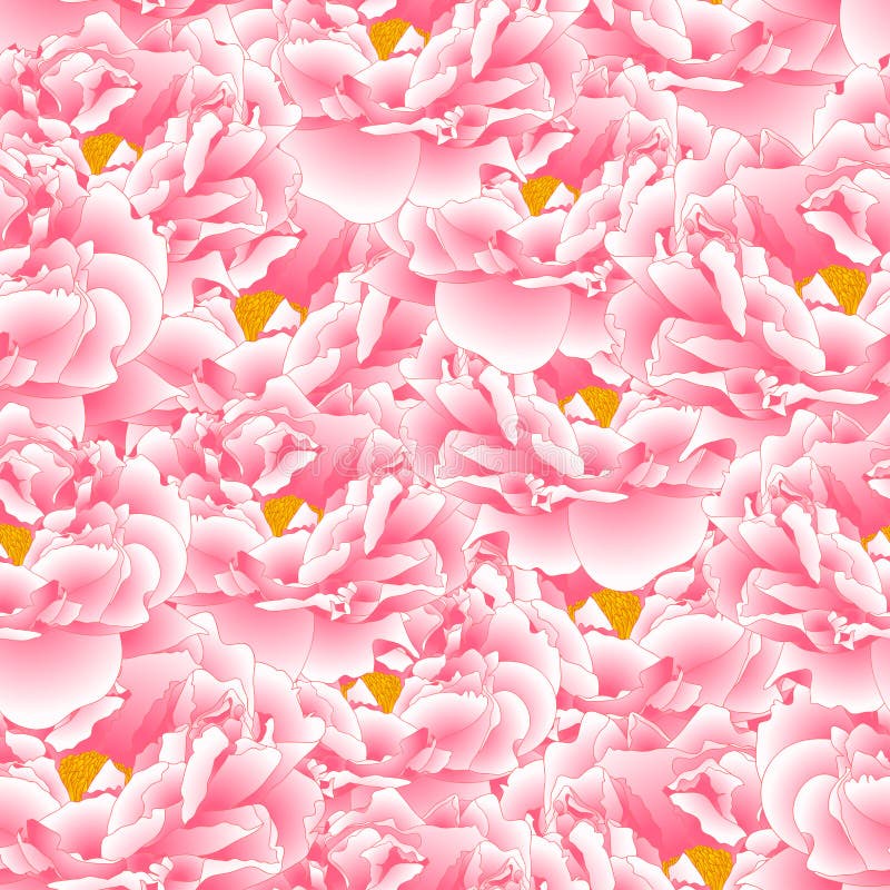 Pink Peony Seamless Background. Vector Illustration. Stock Vector ...