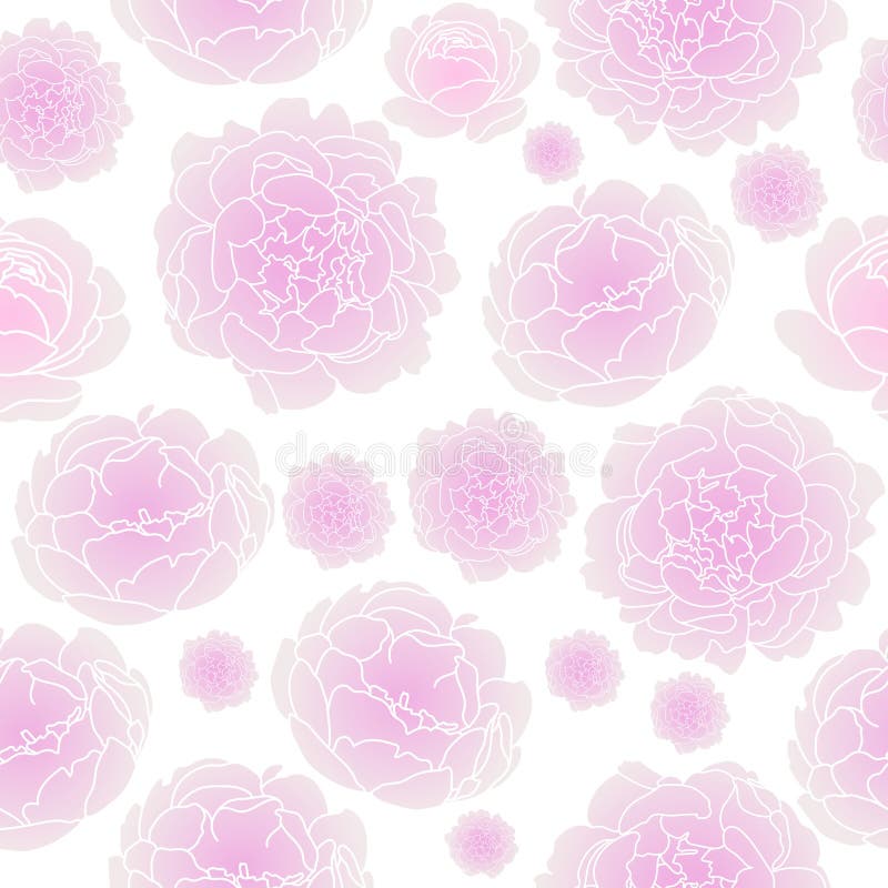 Pink Peony Seampless Pattern. Blush Flowers Scattered on White ...
