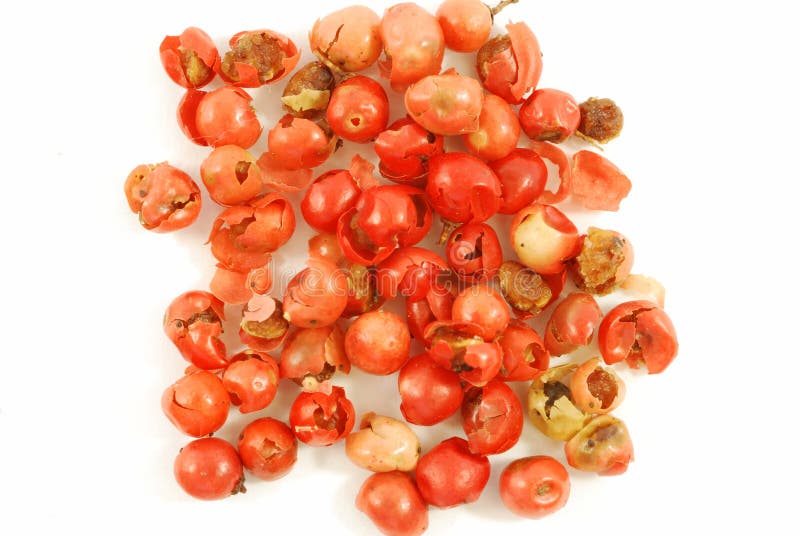 Pink Pepper stock image. Image of medicinal, spice, seeds - 15041505