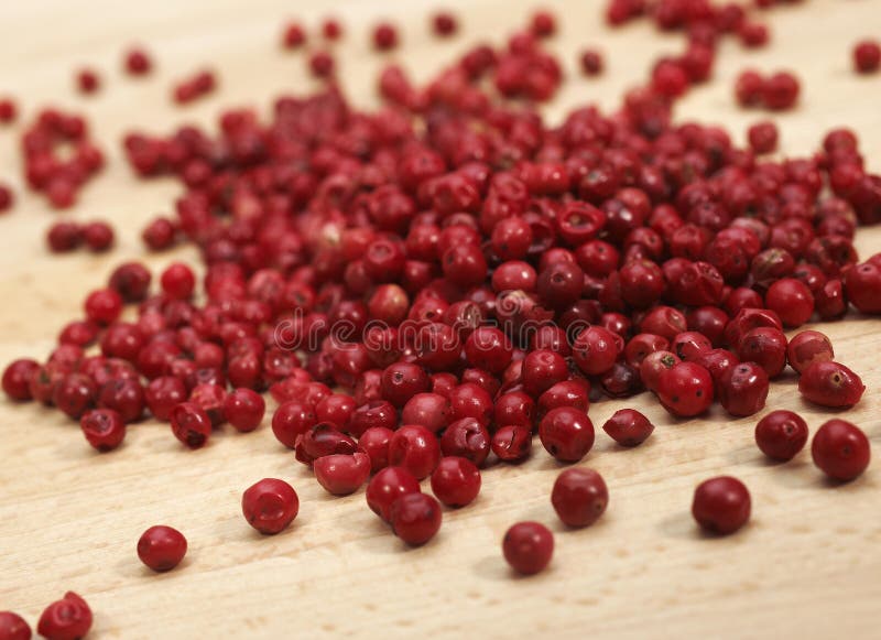 Pink pepper stock image. Image of peppercorn, condiment - 195006979