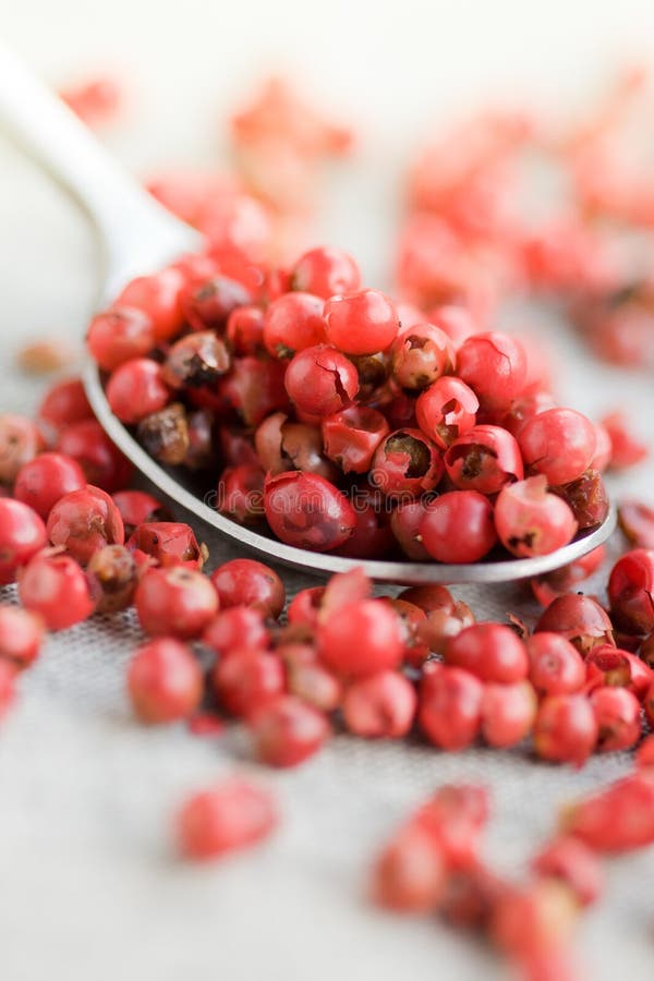 Pink peppercorns stock image. Image of food, differential - 27110677