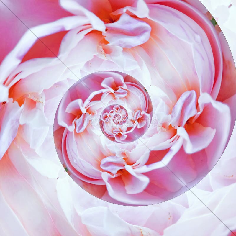 Pink Petals Abstract Background Shapes Blurred Textures Stock Image - Image of pink, abstract ...