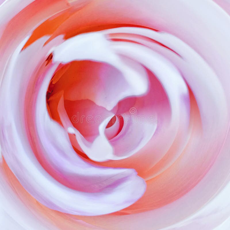 Pink Petals Abstract Background Shapes Blurred Textures Stock Photo ...