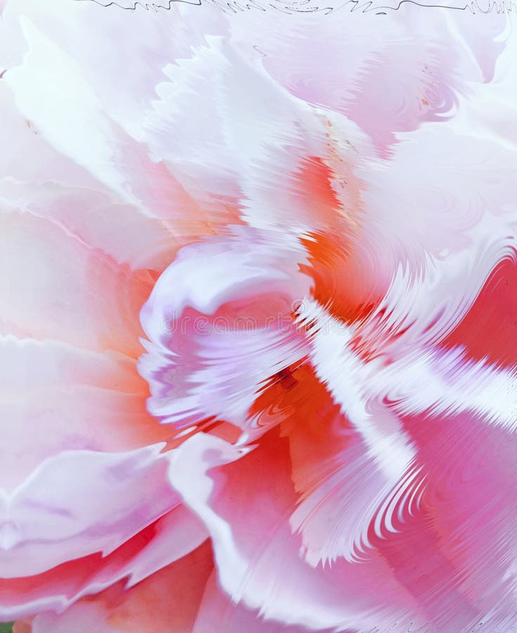 Pink Petals Abstract Background Shapes Blurred Textures Stock Photo ...