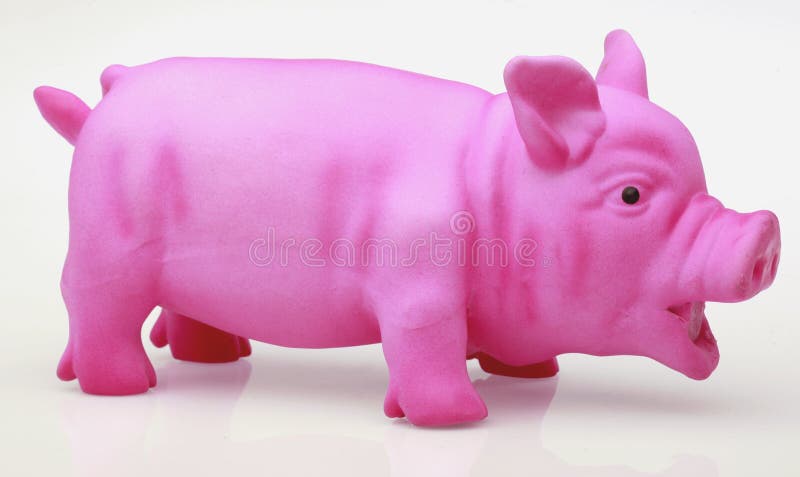 Pig Free Stock Photos & Pictures, Pig Royalty-Free and Public Domain ...