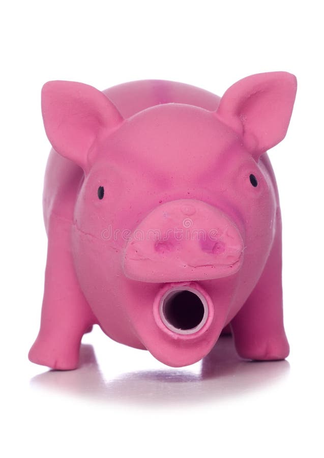 Pink Pig Dog Toy Cutout Stock Photos - Free & Royalty-Free Stock Photos ...