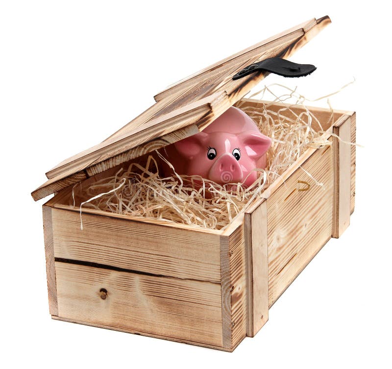 Pink Piggybank in Box with Wood-wool Stock Image - Image of wooden ...