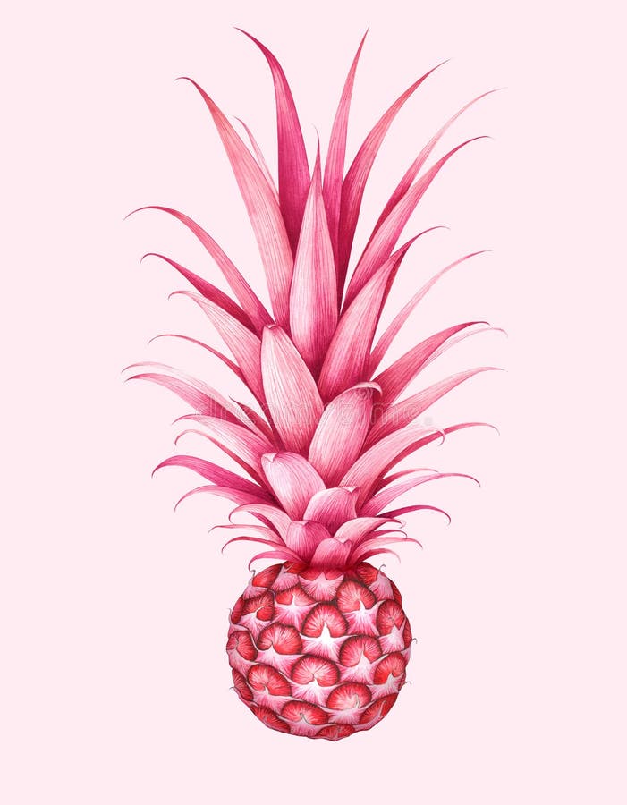 Pink Pineapple, Tropical Plant Watercolor Seamless Pattern Stock ...