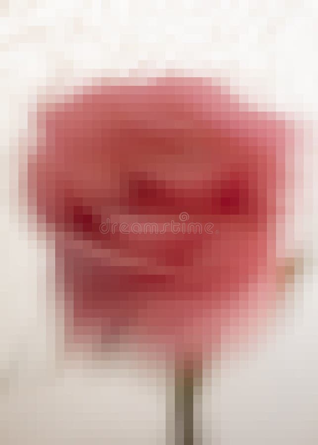 Pixel Art Rose Flower Isolated on White Background Stock Vector ...