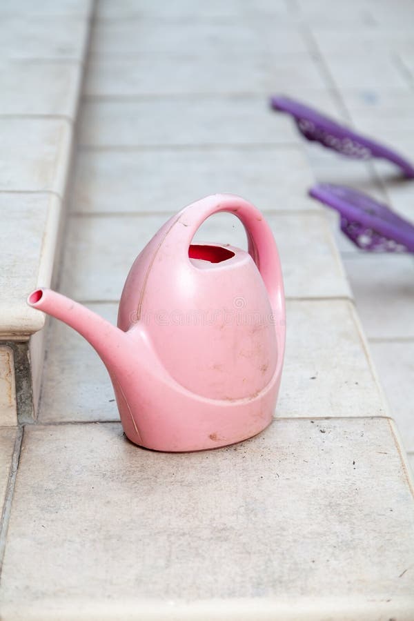 Pink Plastic Watering Can Stands on Step Stock Photo - Image of spring ...