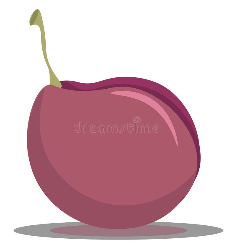 A Pink Plum Vector or Color Illustration Stock Vector - Illustration of ...