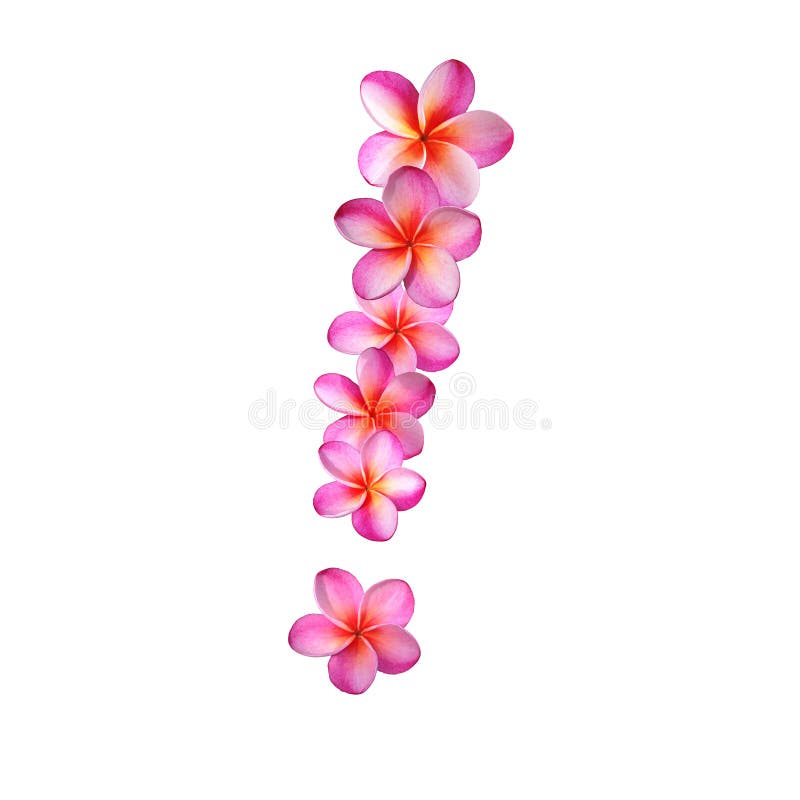 Flowers Exclamation Point stock illustration. Illustration of leaf ...