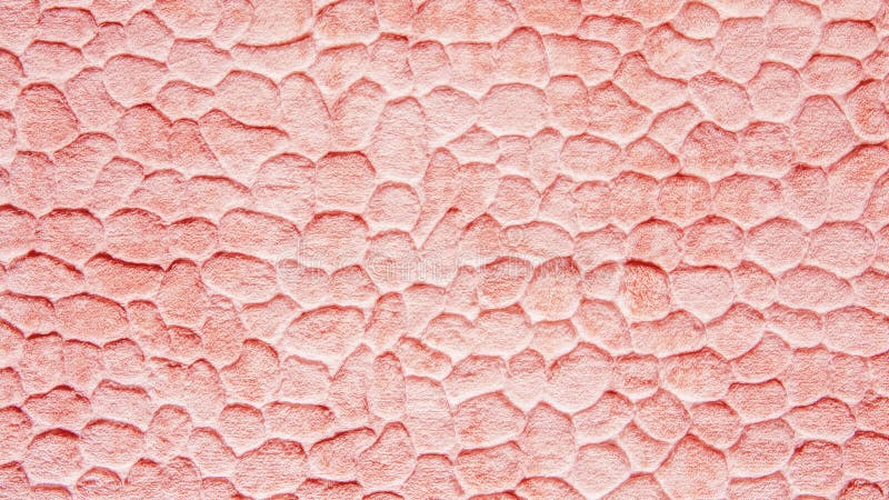 Pink Plush Fabric Texture, Carpet Pattern. Pile Fabric with Raised ...