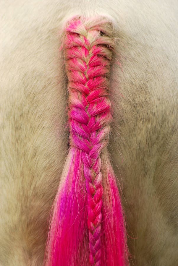 Pink pony tail stock photo. Image of color, colour, real - 33665808