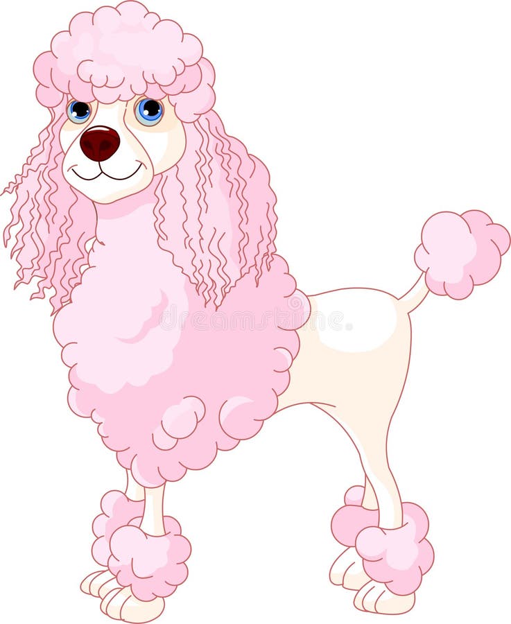 Pink Poodle stock vector. Illustration of clip, play - 15531585