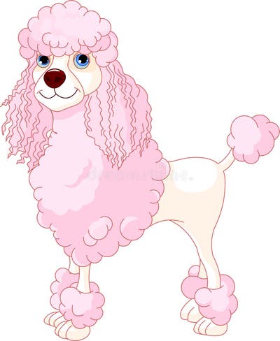 Pink Poodle stock vector. Illustration of clip, play - 15531585