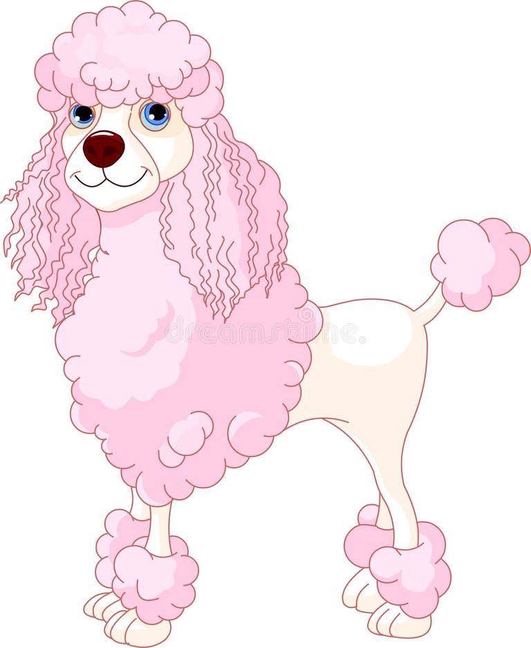 Pink Poodle Stock Illustrations – 1,558 Pink Poodle Stock Illustrations ...