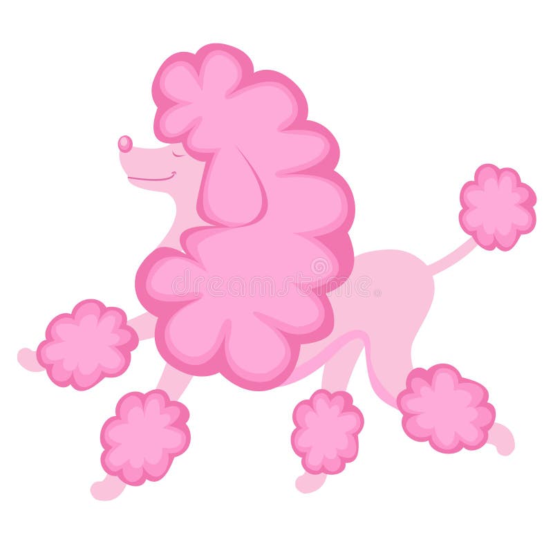 Pink poodle stock vector. Illustration of cartoon, action - 24034354