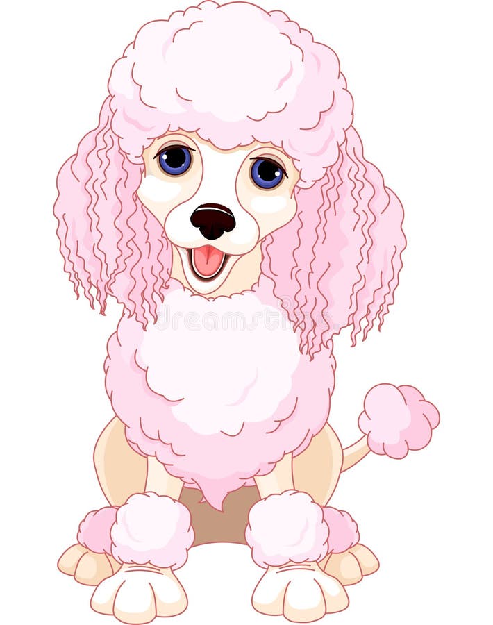 Pink Poodle stock vector. Illustration of clip, play - 15531585