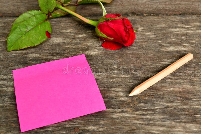Pink Post it Note and Red Rose Stock Photo - Image of message, blossom ...