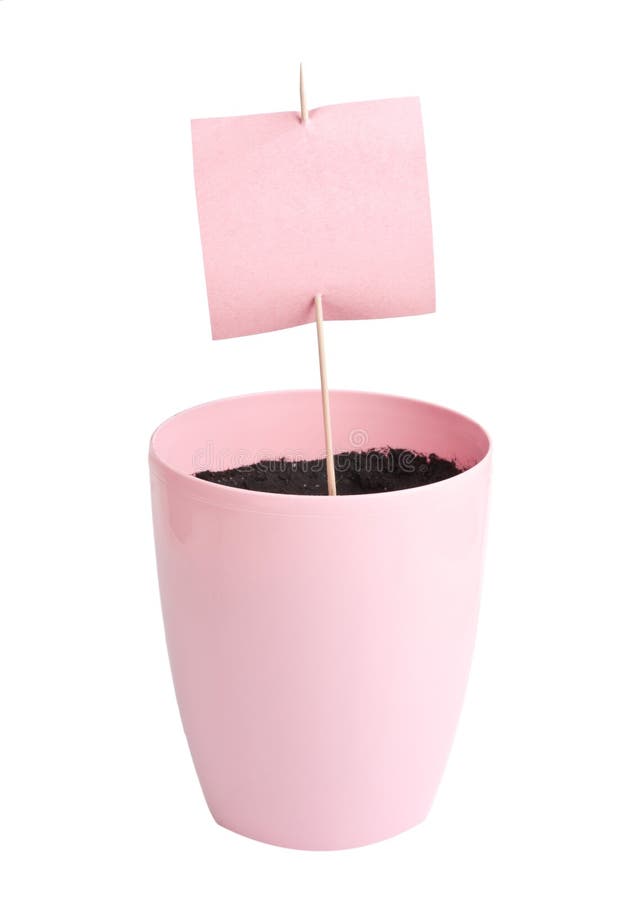 Pink pot stock photo. Image of ceramic, holders, flora - 22957816