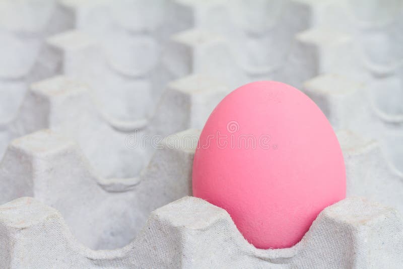 Pink preserved egg stock photo. Image of century, paper - 51261094