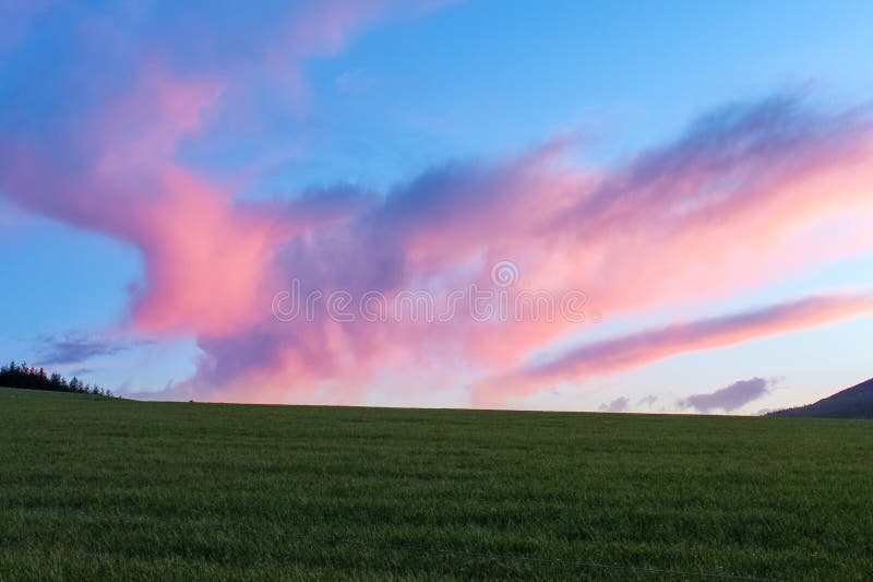 Pink, Purple, Blue Sunset Over Grass Field Stock Photo - Image of ...