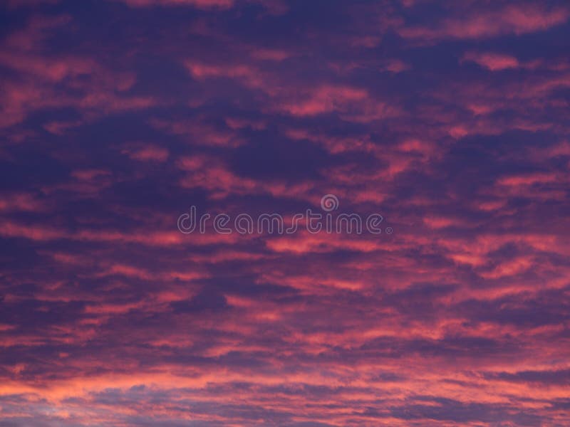 Pink and Purple Clouds at Sunset Fill the Frame Stock Photo - Image of ...