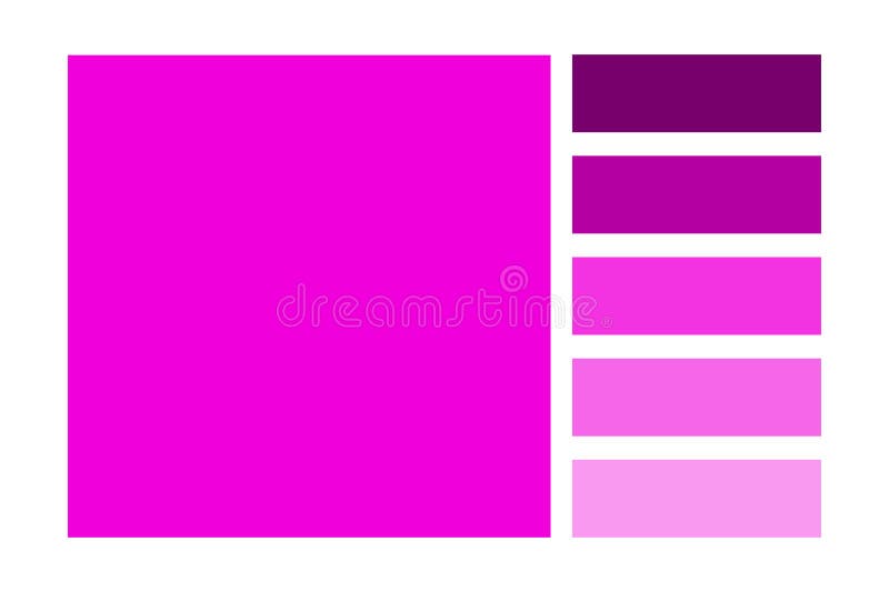 Pink Purple Layout. Bright Tone Panel. Vibrant Color Division. Vector ...