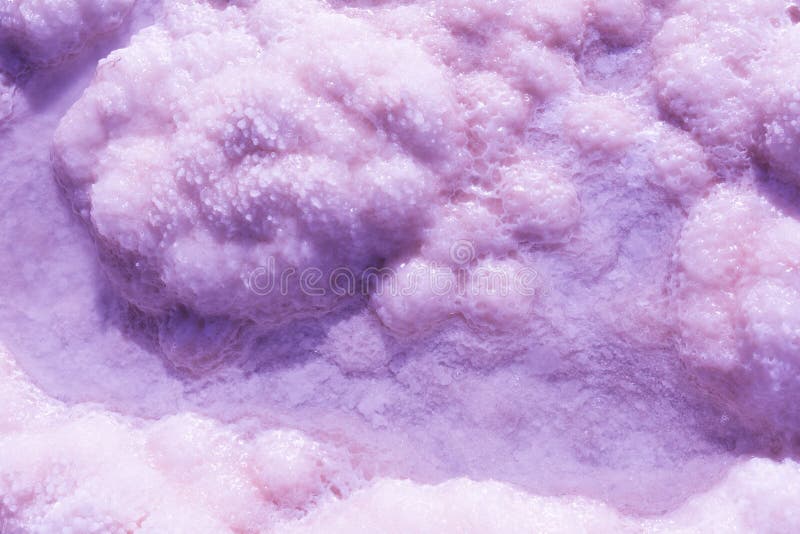 Pink Purple Nature Patterns Texture Stock Image - Image of elegance ...