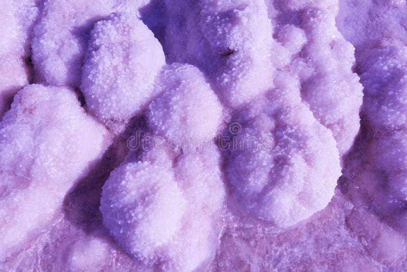 Pink Purple Nature Patterns Texture Stock Image - Image of grain ...