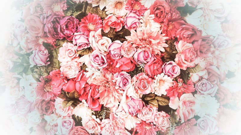 Pink & Purple Roses Abstract Art Colors Background Stock Photo - Image ...