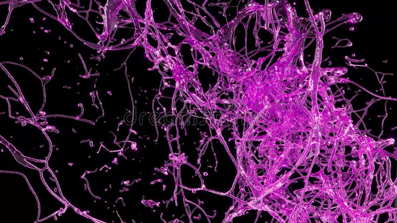 Pink Purple Splash on Black Bg 3d Stock Illustration - Illustration of ...