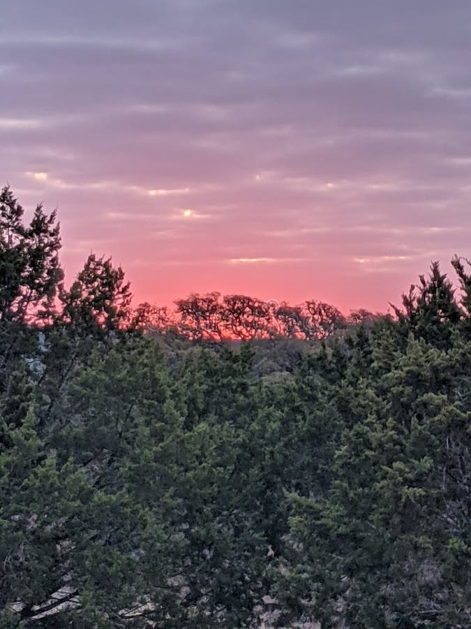 Pink and Purple Sunset Over Trees Stock Image - Image of clouds, sets ...