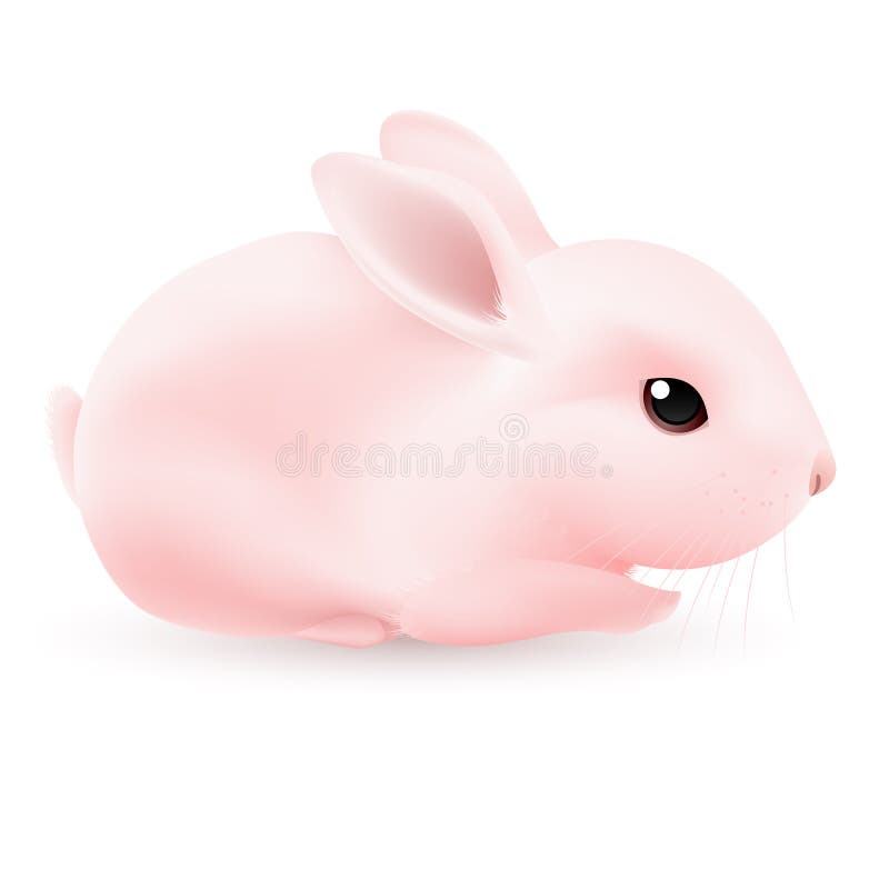 Pink rabbit stock vector. Illustration of chubby, upright - 43669284