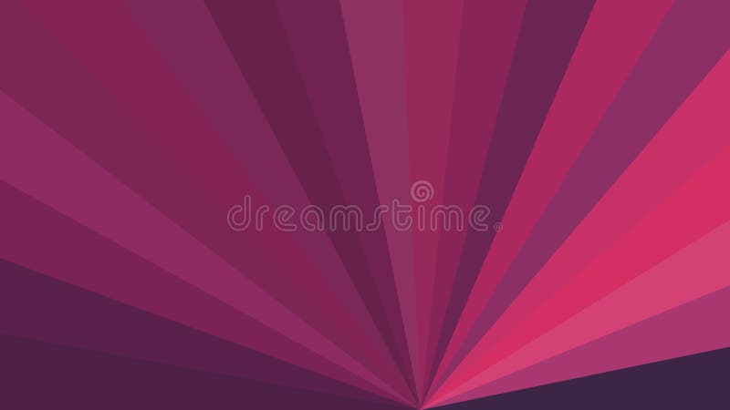 Pink Radial Stripes Background Stock Vector - Illustration of striped ...