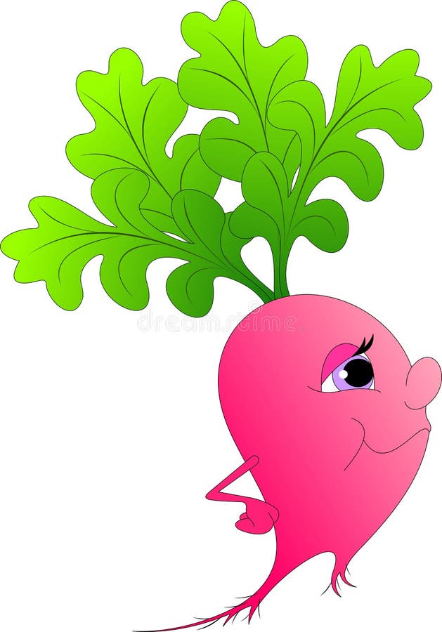 Pink Radish with Green Leaves Stock Vector - Illustration of color ...