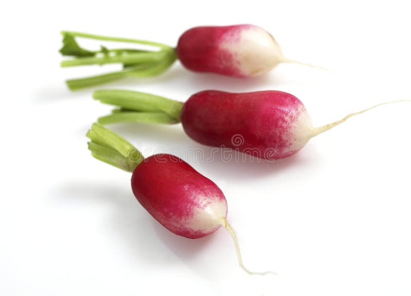 PINK RADISH Raphanus Sativus AGAINST with BACKGROUND Stock Photo ...