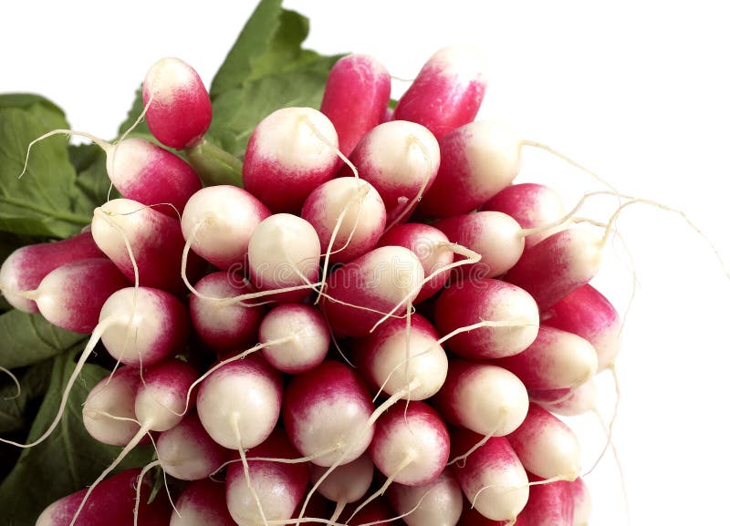 Pink Radish, Raphanus Sativus Against White Background Stock Photo ...
