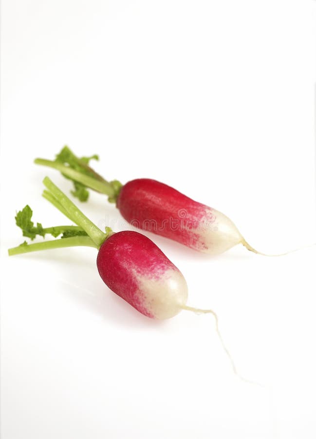 Pink Radish, Raphanus Sativus, Vegetable Against White Background Stock ...