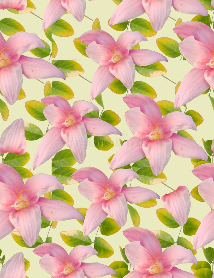 Pink Rain Lily Floral Pattern Stock Illustration - Illustration of natural, repeat: 326350727