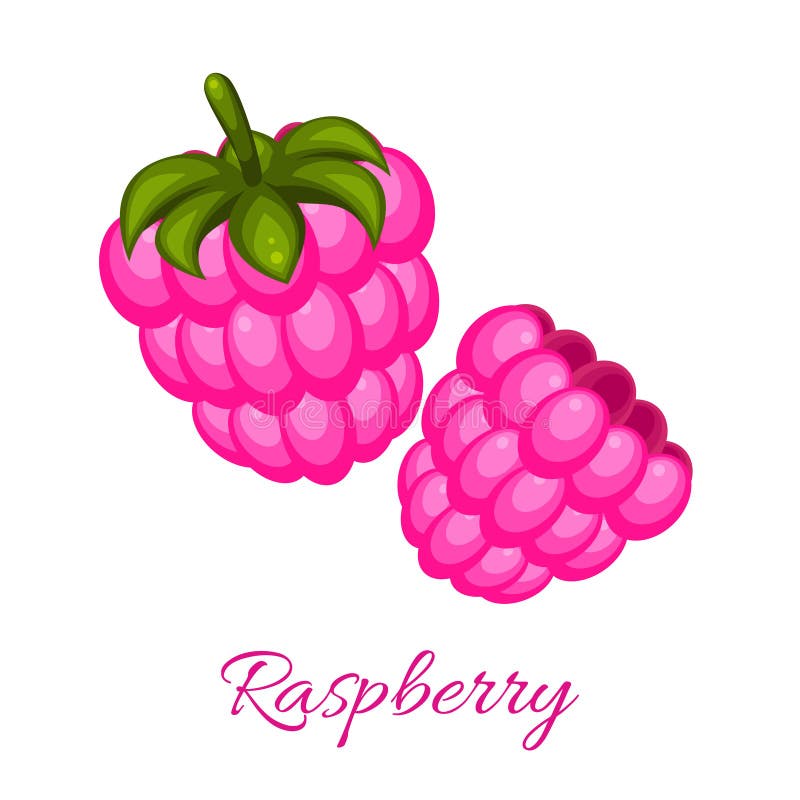 Raspberry Fruit and Smoothie Juice Vector Set Stock Vector ...