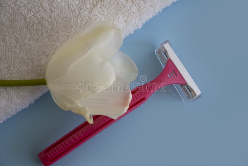 Pink Razor Tulip Flower on Colored Background Stock Photo - Image of ...